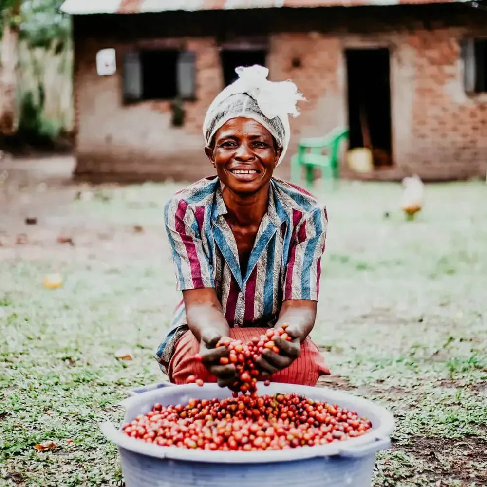 Why African Coffee Is Highly Rated: Origin, Flavour, and Brewing ...